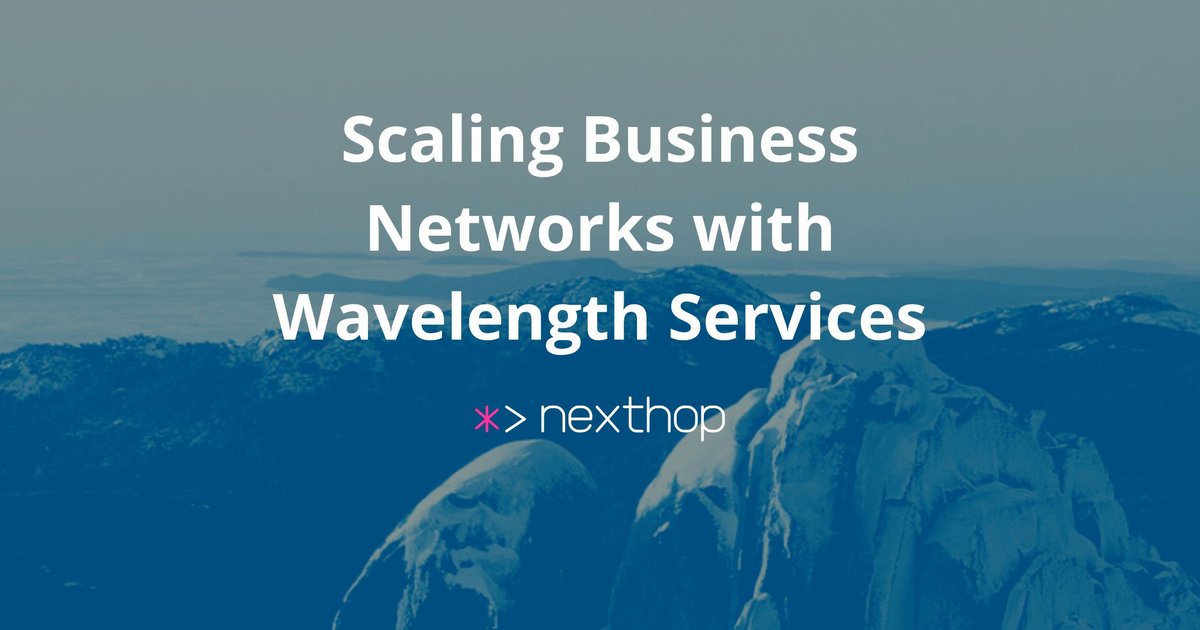 Scaling Business Networks with Wavelength Services